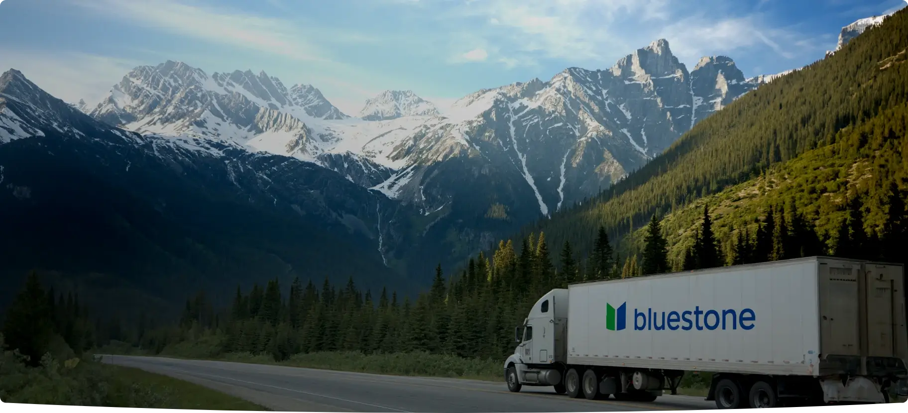 Bluestone | Global Metals & Chemicals Producer